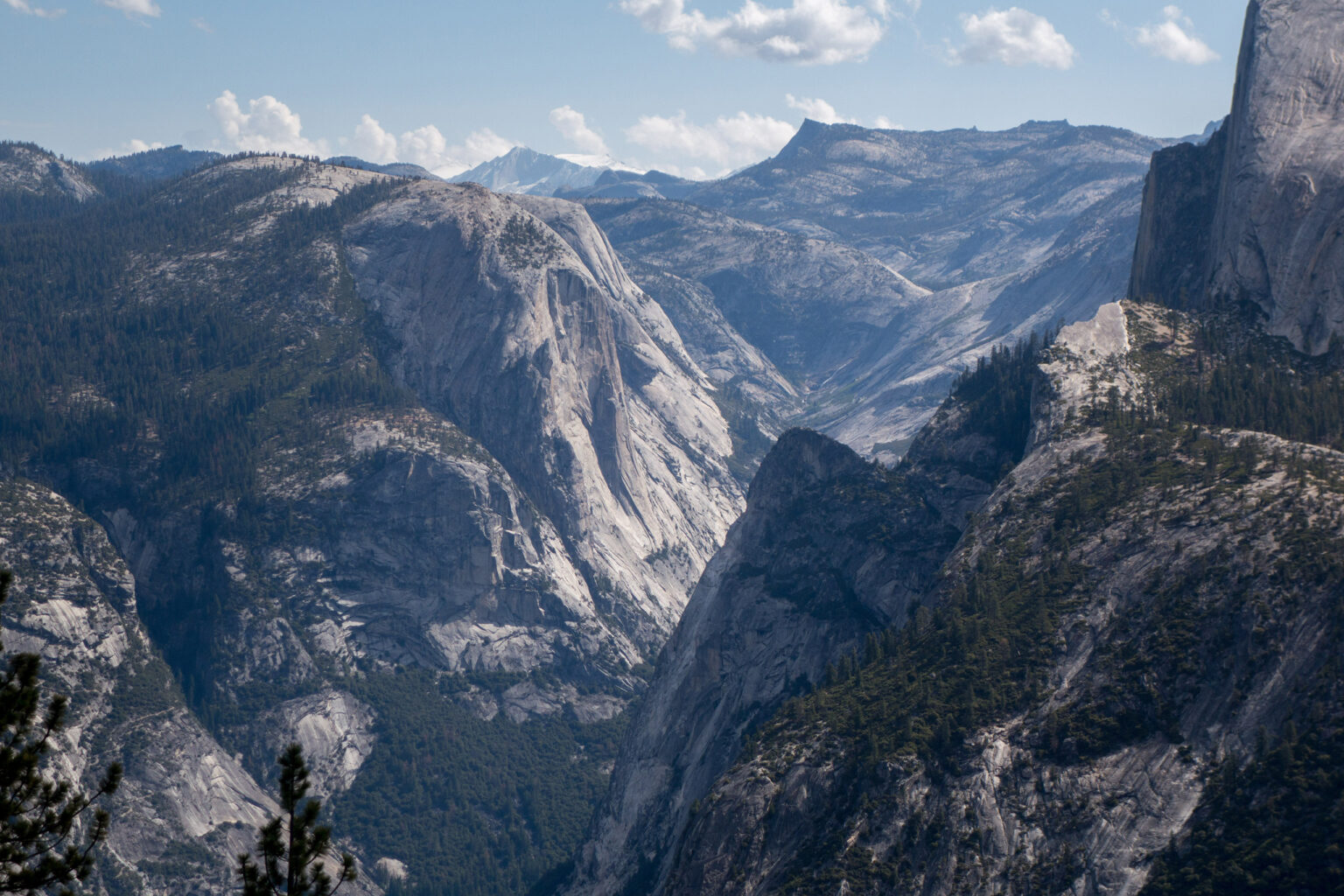 The Most Popular Free Reference Pack for Artists