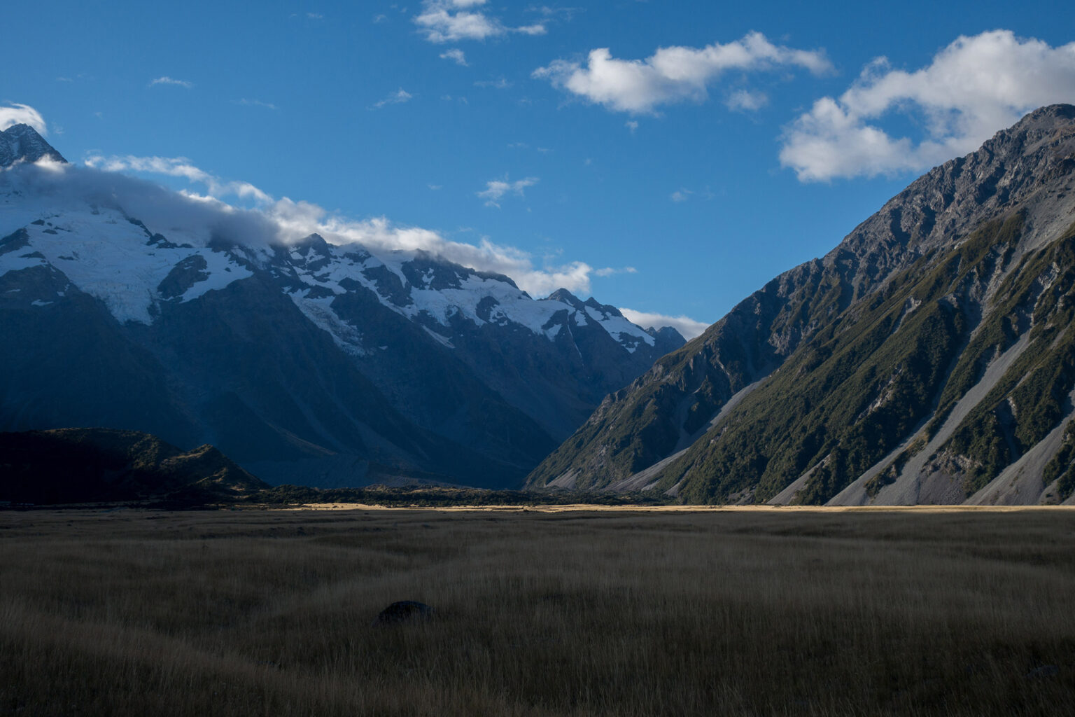 The Most Popular Free Reference Pack for Artists