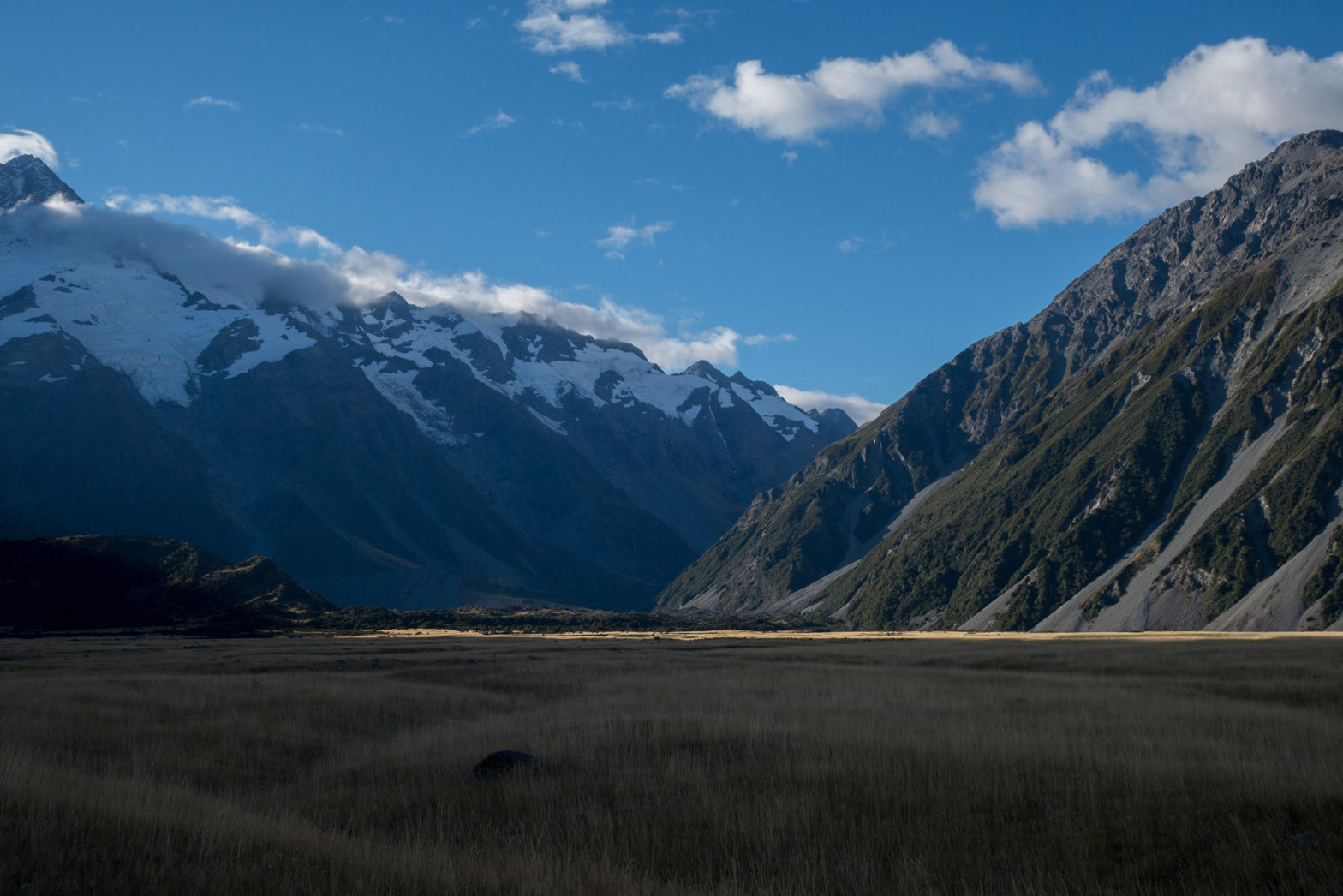 The Most Popular Free Reference Pack for Artists