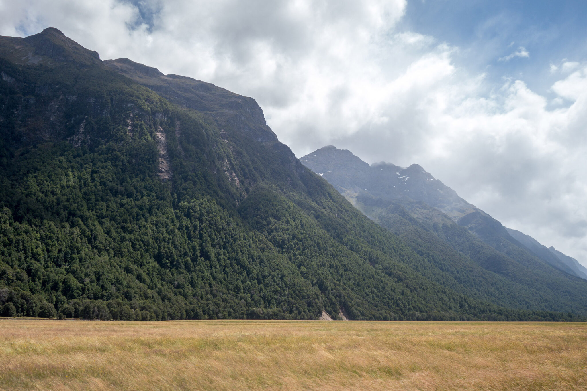 The Most Popular Free Reference Pack for Artists