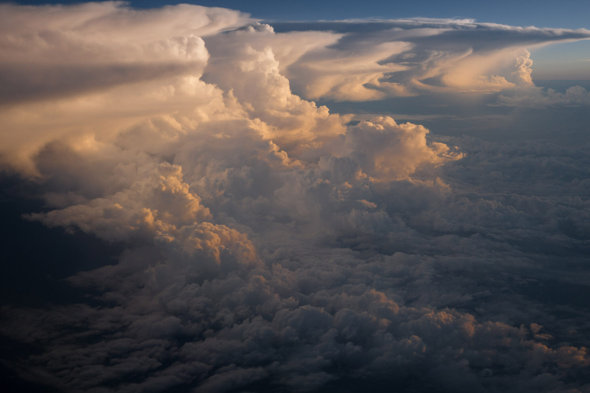 The Most Popular Free Reference Pack for Artists