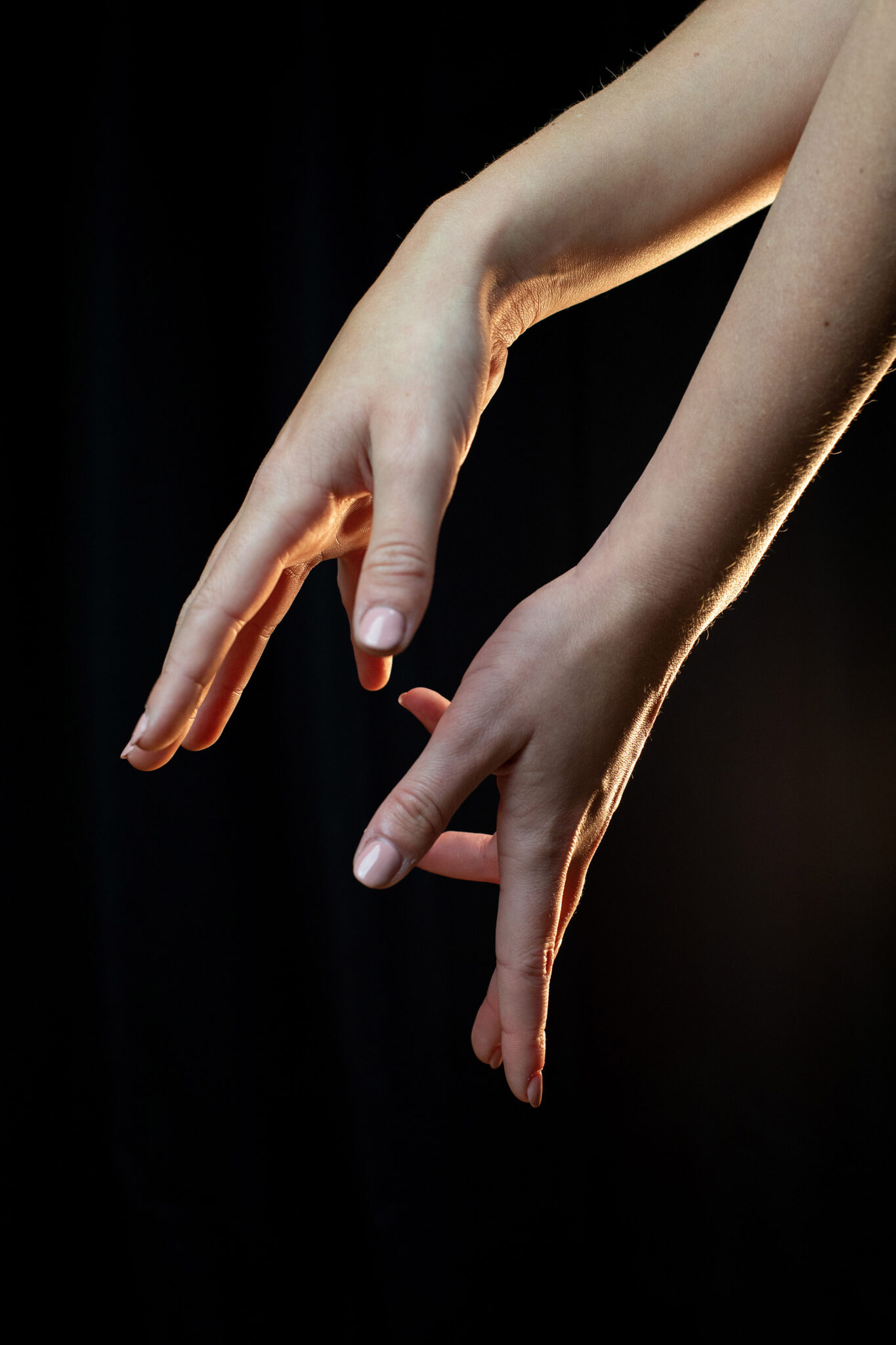 500+ Hand Reference Photos for Artists