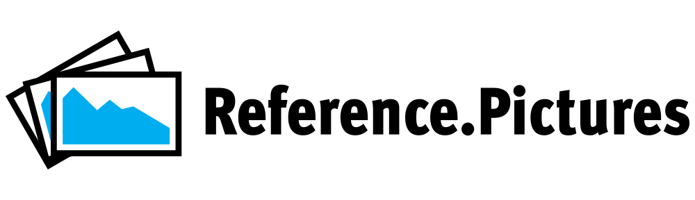 10 Ways to Use Reference to Make Better Art - Reference Pictures