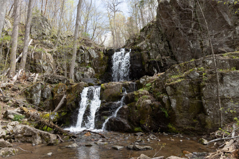 Appalachian Spring - Reference Pictures