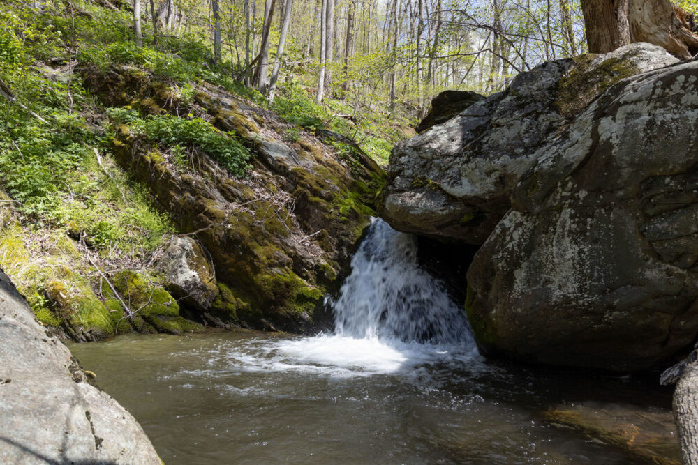 Appalachian Spring - Reference Pictures