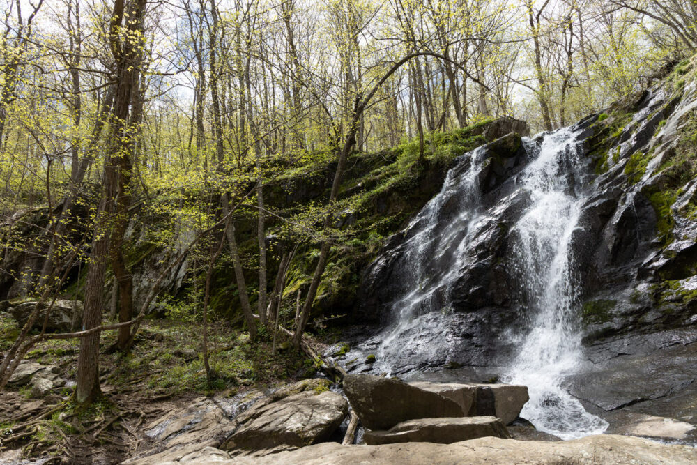 Appalachian Spring - Reference Pictures