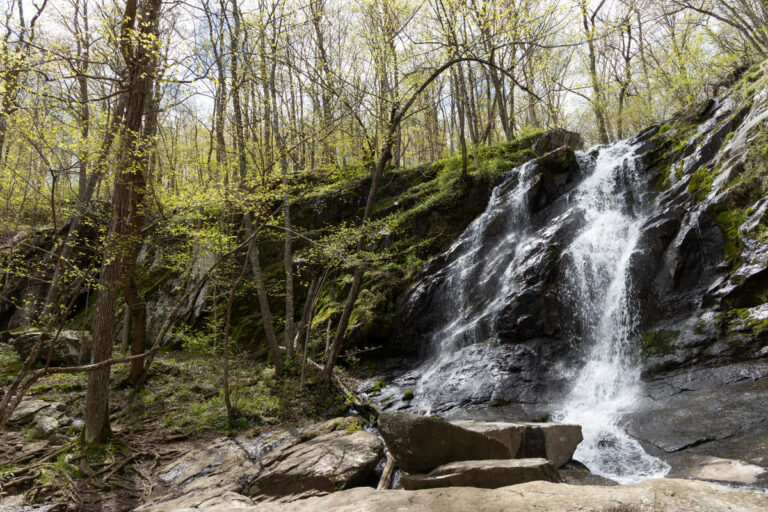 Appalachian Spring - Reference Pictures
