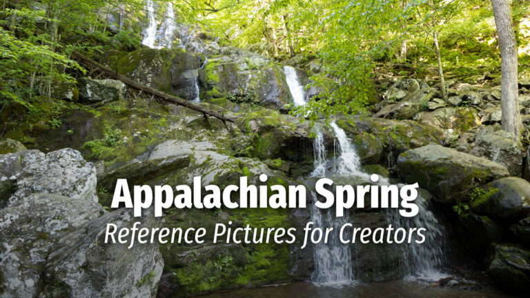 Reference.Pictures - The Best Pose Reference and Stock Photos for Artists