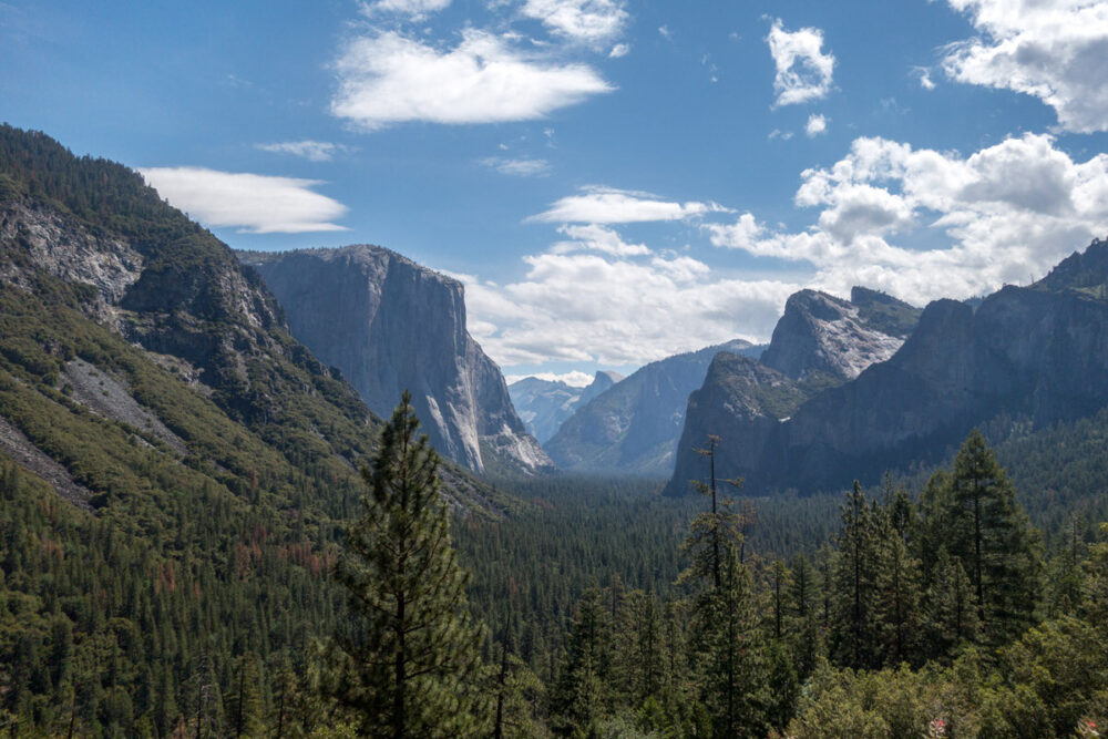 Environment Bundle - Reference Pictures