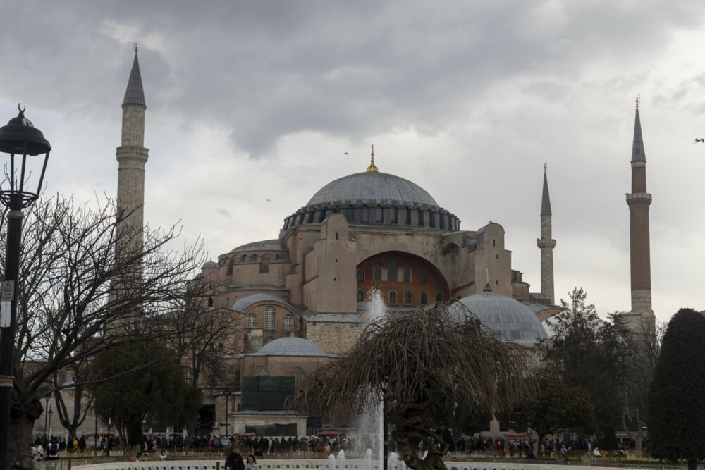 Turkey - Reference Pictures